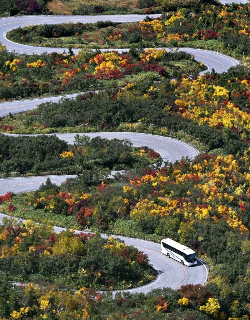 [Hidden Wonders of Japan] When Fall Colors Are Most Beautiful Along the ...