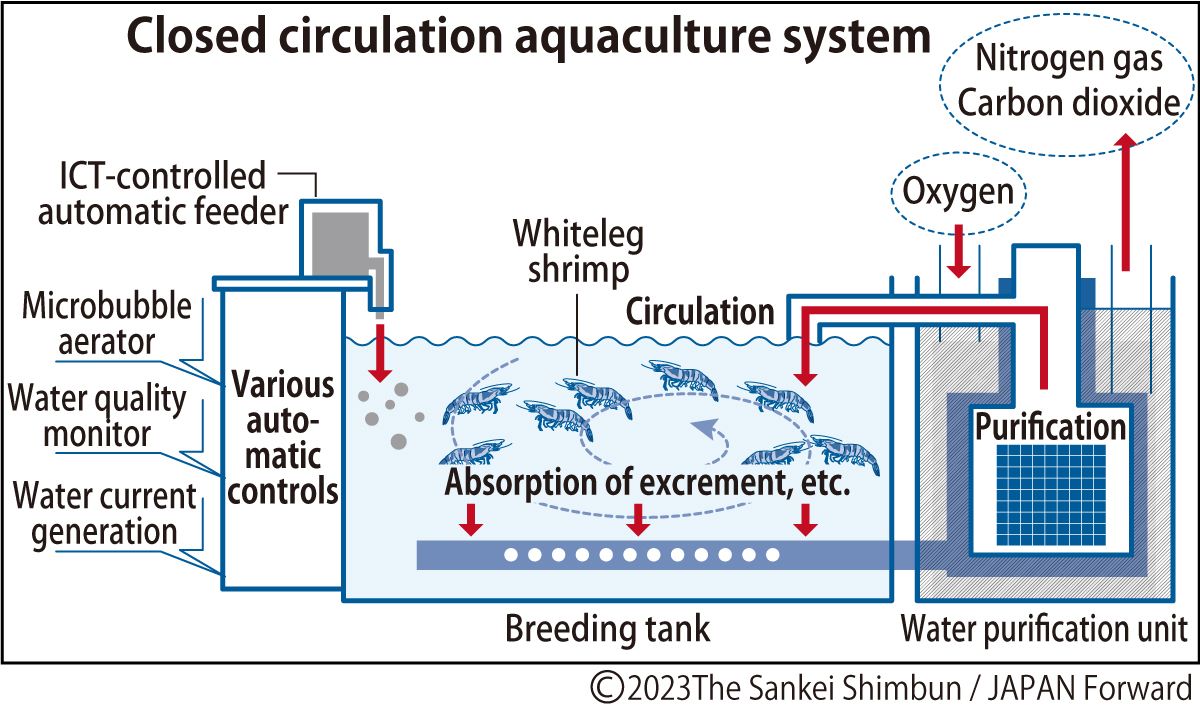 How Onshore Aquaculture Could Achieve a Reliable Seafood Supply | JAPAN ...
