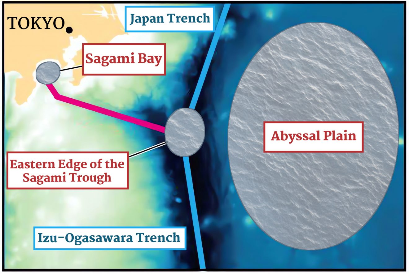How Microplastics Travel to the Ocean Floor | JAPAN Forward