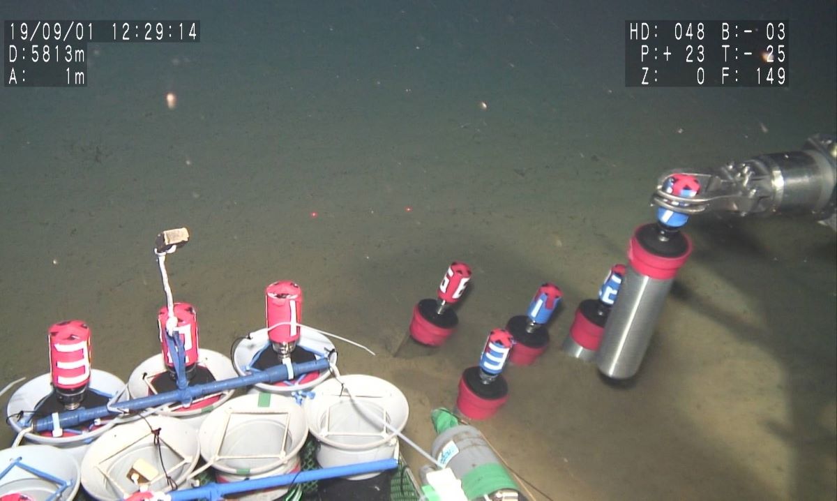 How Microplastics Travel to the Ocean Floor | JAPAN Forward