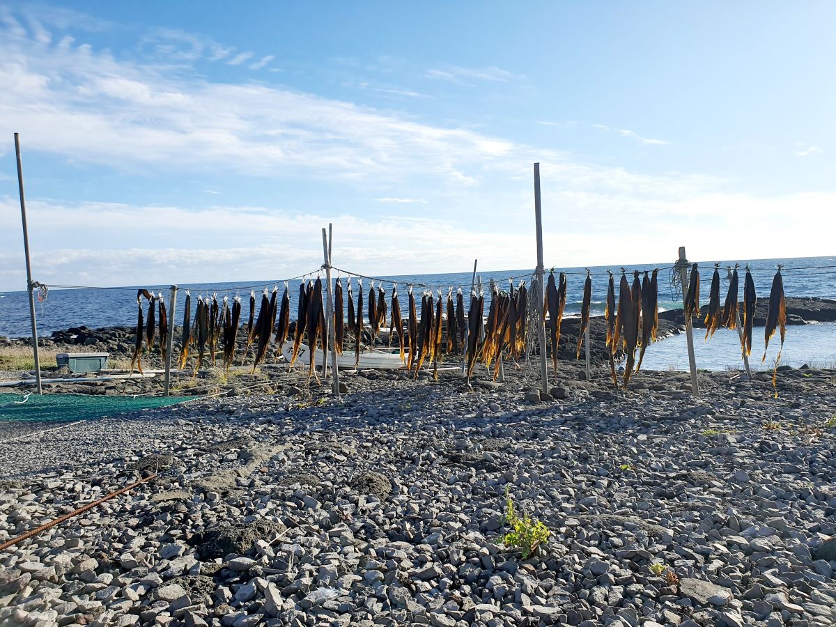 Rishiri Island: The Latest Addition to a Skier's Bucket List | JAPAN ...
