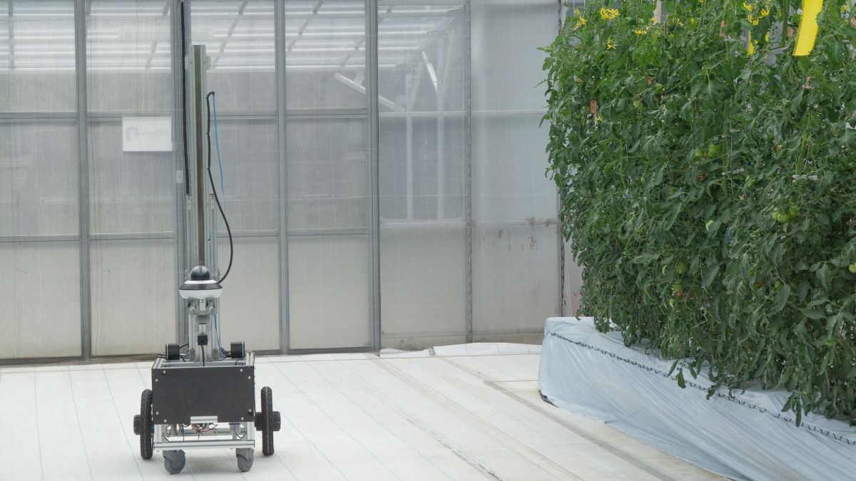 NTT Bets on Technology and Agriculture in an Aging Society | JAPAN Forward