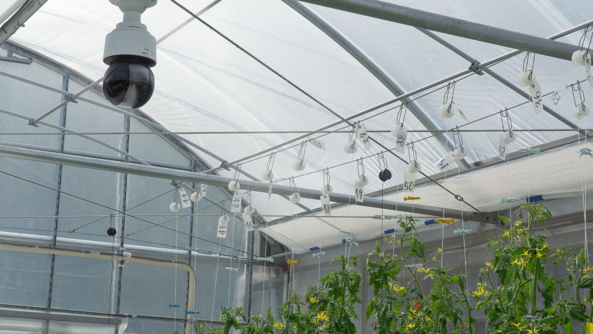 NTT Bets on Technology and Agriculture in an Aging Society | JAPAN Forward