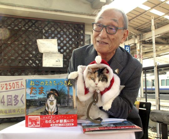 The Famous Cat Station Master Gets Her Own Picture Book | JAPAN Forward