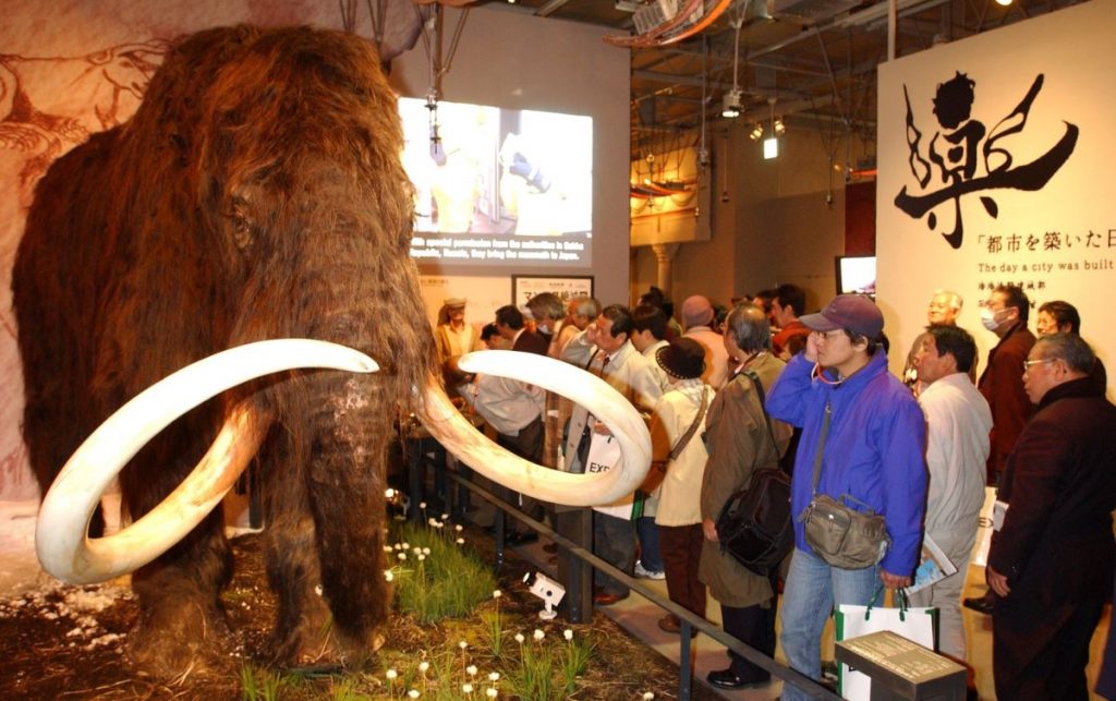 Expo 2025 in Osaka has a Mammoth-shaped Hole but Doesn't Need Russia to ...