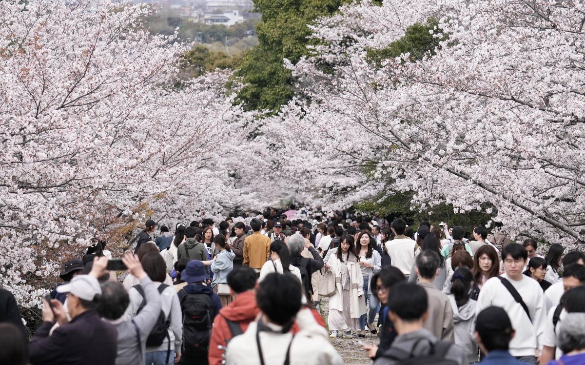 Something about Spring Brings Out the Demons | JAPAN Forward