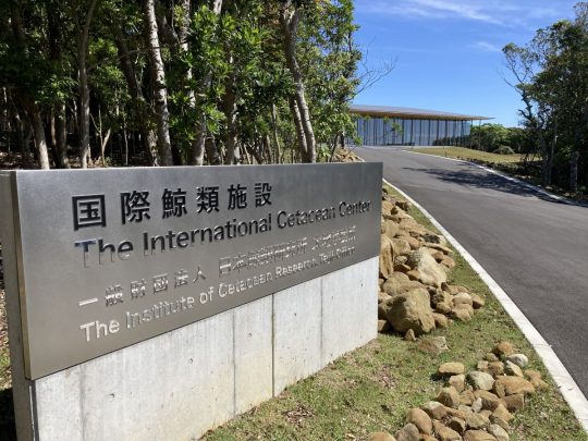 Known for Its Whaling History, Taiji Town Unveils New International ...