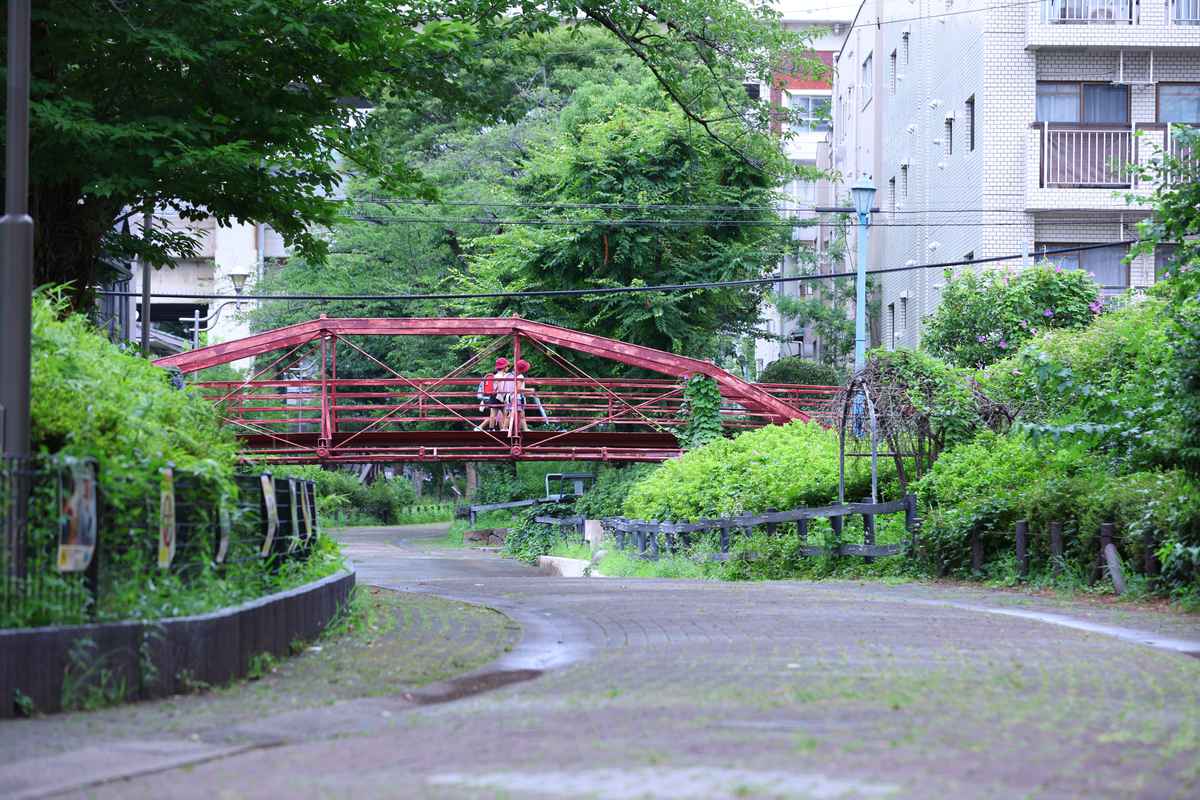 Hidden Wonders | A 150-Year-Old Bridge Stands Strong in Tokyo | JAPAN ...