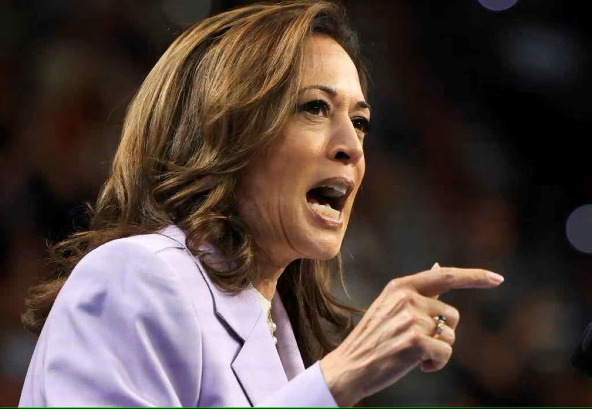 The Kamala Harris Candidacy – A Tale of Light and Shadow | JAPAN Forward