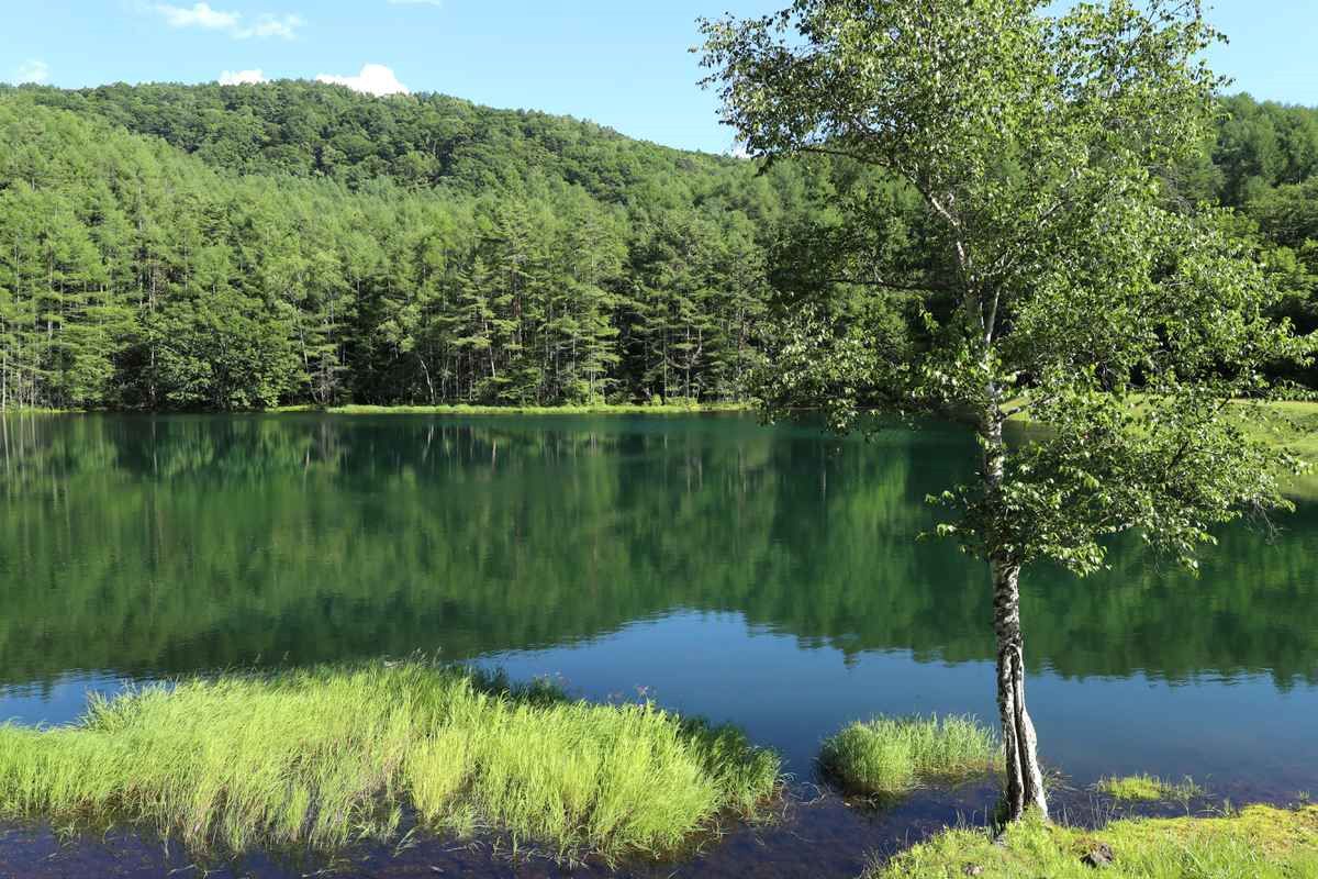Hidden Wonders | Mishaka Pond: Nature's Mirror Reflecting the Seasons ...