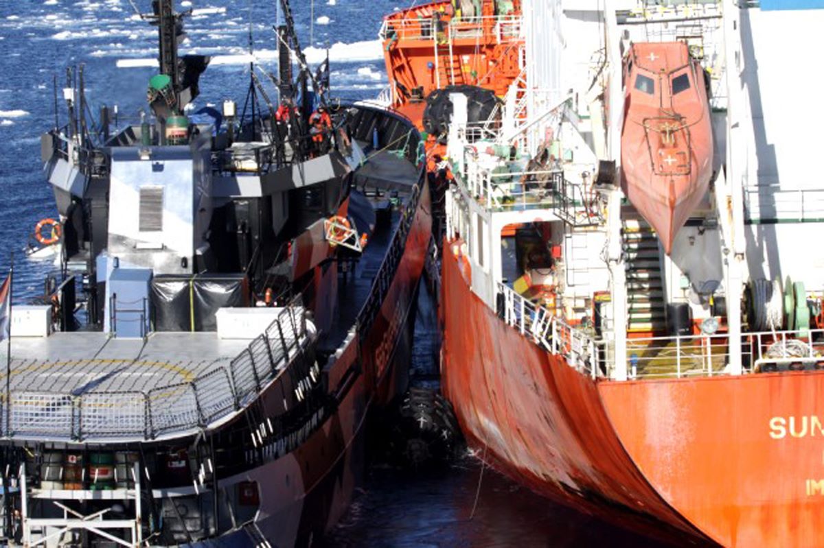EDITORIAL | France Protects Anti-whaling 'Activist' Engaged in ...