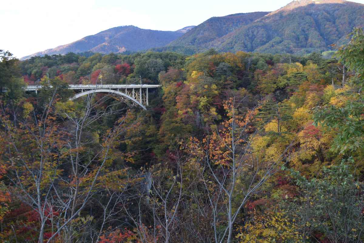 Fall Foliage Forecast 2024 is Out: Where and When to See Japan's Autumn ...