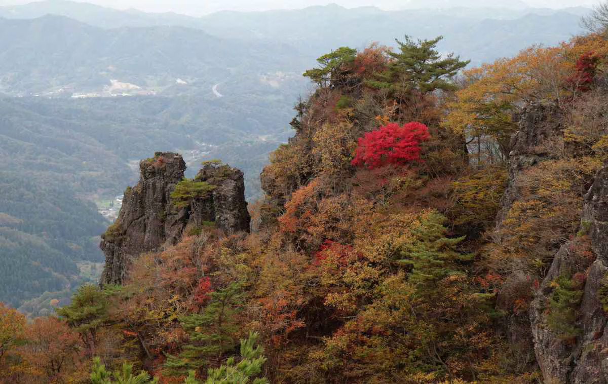 Fall Foliage Forecast 2024 is Out: Where and When to See Japan's Autumn ...